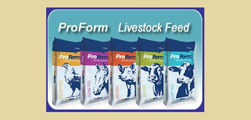 The Trading Post Feed and Tack Ltd.